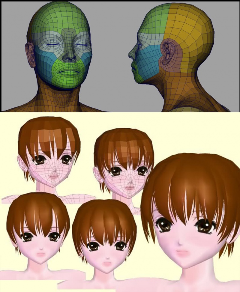 Human Topology - Wikicliki