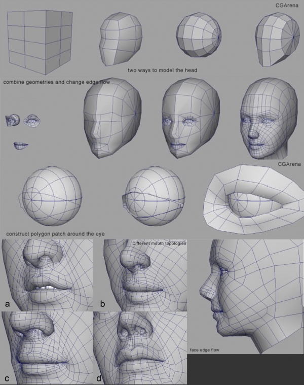 Human Topology - Wikicliki