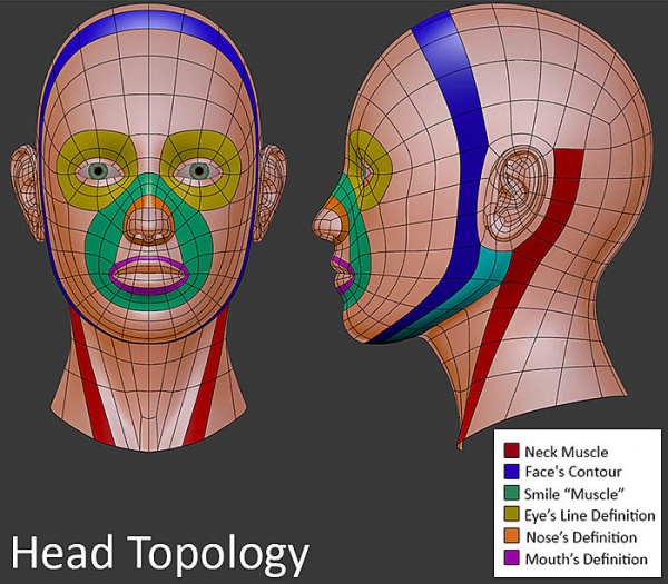 Human Topology - Wikicliki